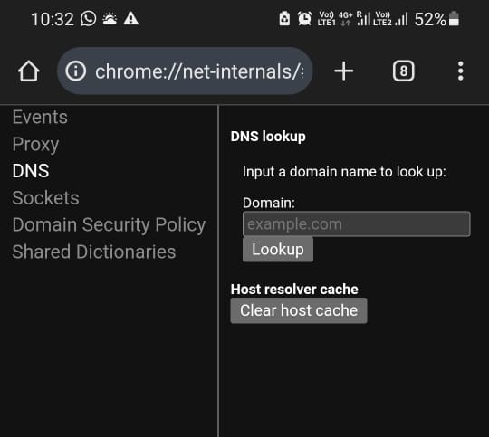 A Detailed Guide to Clear Chrome Net Internals DNS